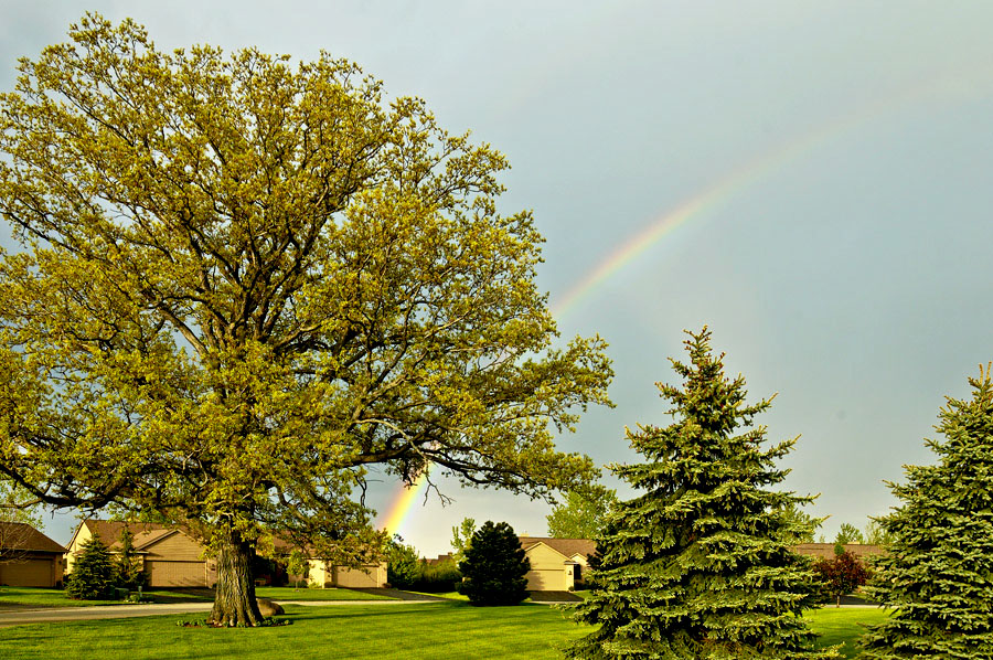 Lone Oak – Stonebridge Community Association